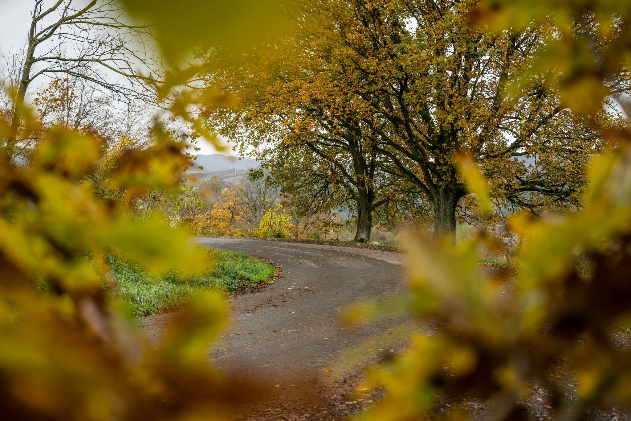Spa Rally : le programme des BRC Live Shows sur Facebook